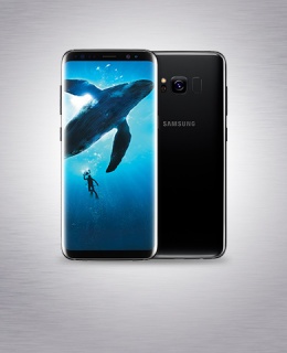 Tehnoland.lv - Elektropreces, Sadzīves tehnika, Viss Mājai un Dārzam ...